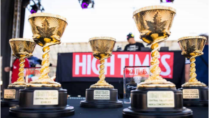 The Dope Cup: Ultimate Guide 2022 | American Autoflower Cup ...